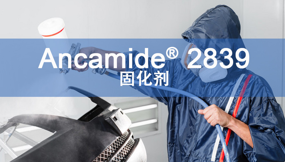 【德国赢创】Ancamide 2839 高性能环氧富锌水性的聚酰胺固化剂-阿里巴巴