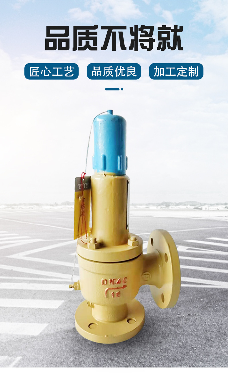 A42Y-16C中国永一安全阀弹簧式电锅炉空压机储气罐高压DN100热水-阿里巴巴