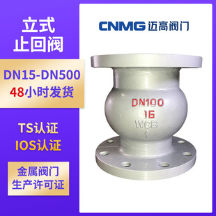 止回阀 立式止回阀 铸钢止回阀 H42H-16C/H42W-16P 不锈钢止回阀-阿里巴巴