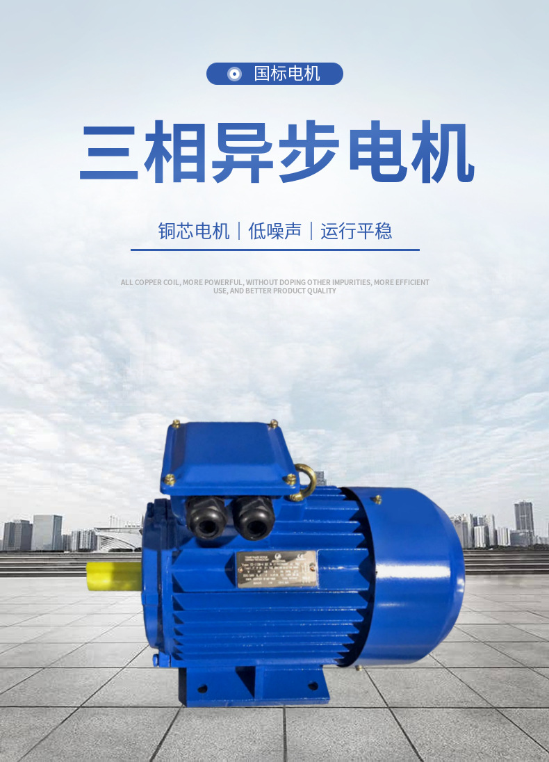 【工业用】YE3-100L-2 三相异步电动机 380V 全铜线电机 高效节能-阿里巴巴