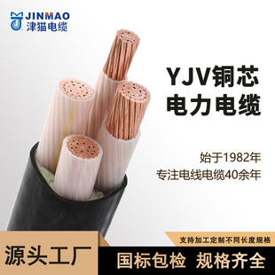 YJV国标铜芯电缆3+1芯2.5~300平方充电桩电缆线三芯电线电力电缆-阿里巴巴