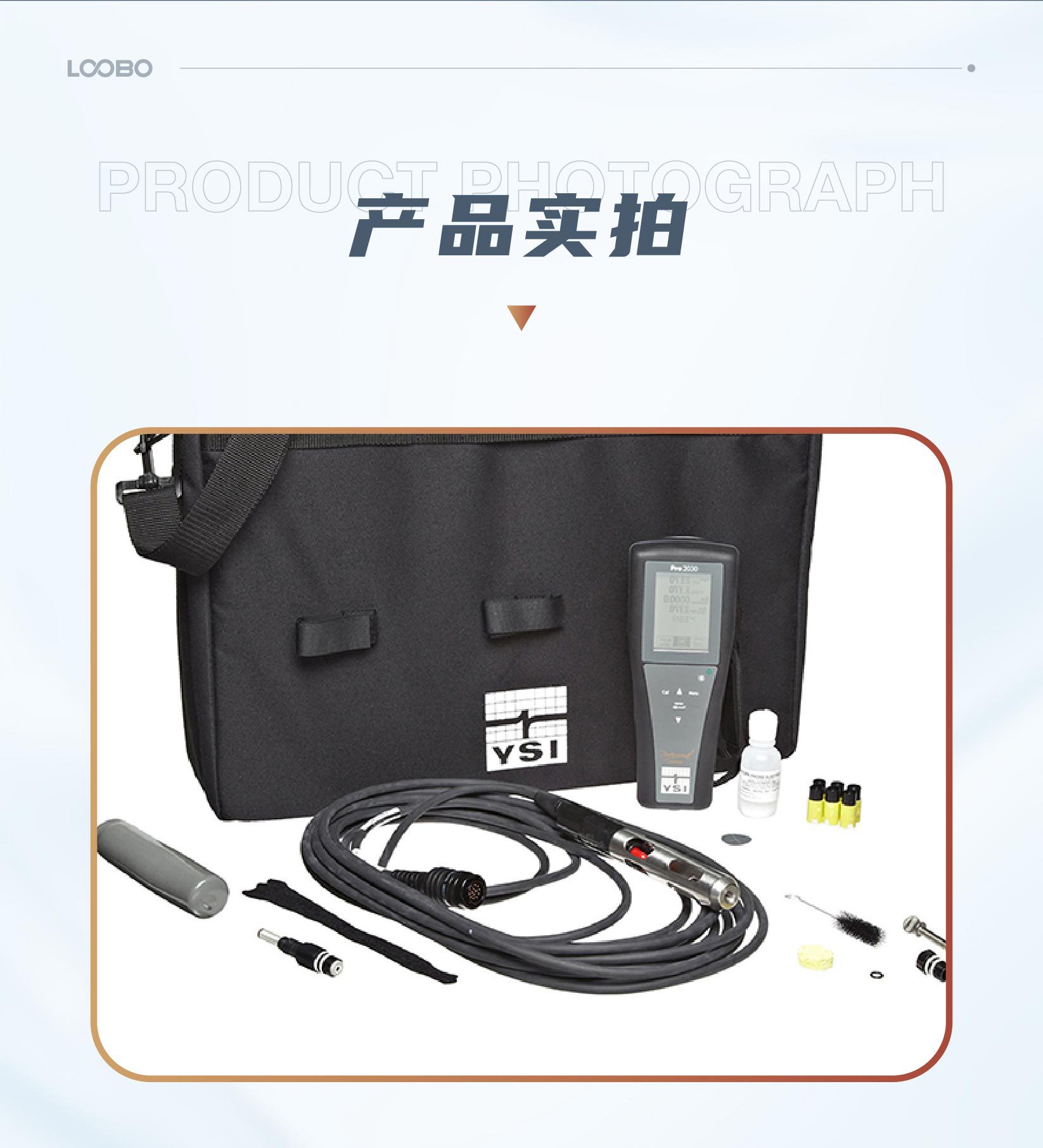 美国 YSI-Pro20i便携式溶氧仪 不锈钢探头保护套 溶解氧测量仪-阿里巴巴