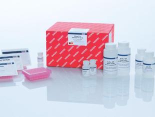 凯杰代理qiagen 972807 PyroMark Gold Q96 Reagents-阿里巴巴