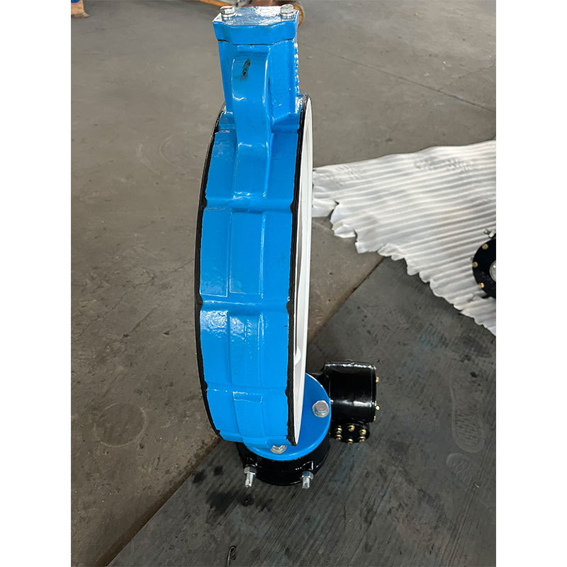 手动涡轮对夹四氟蝶阀 衬四氟304板 软密封 厂家天津D371F -10Q-阿里巴巴