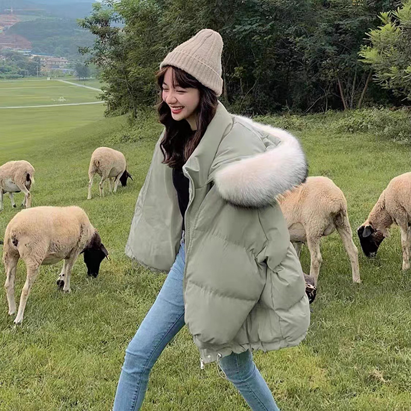 Short down cotton-padded coat women's winter large fur collar winter ...