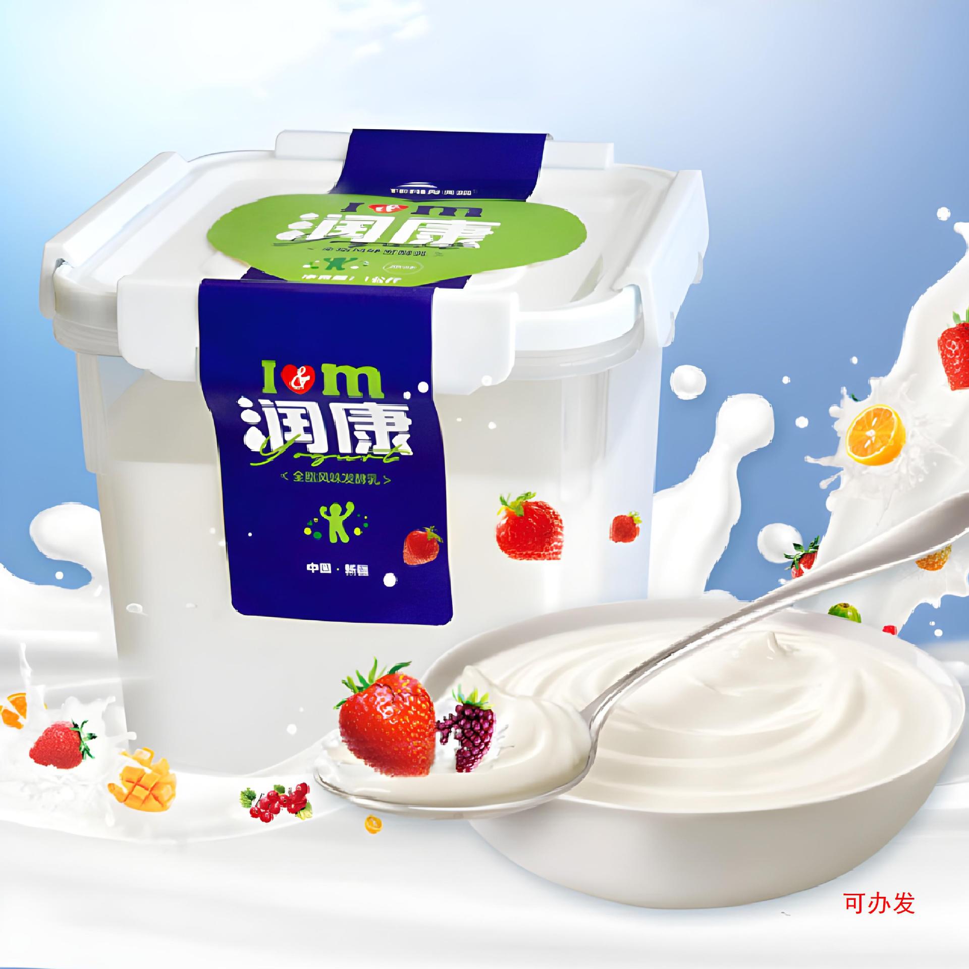 Terun Xinjiang Tianrun Old Yogurt Low Temperature Original Solid Greek ...
