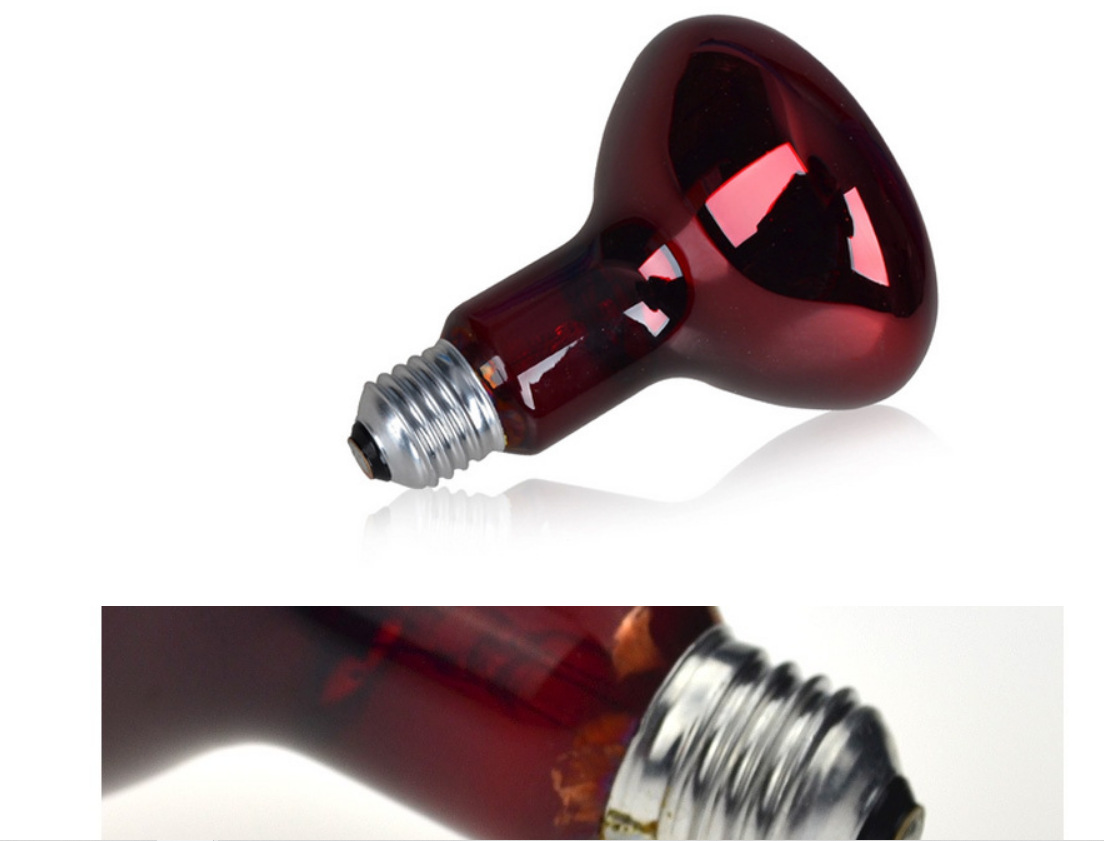 批发飞利浦红外线理疗灯泡 R95E 230V100W医疗美容加热保温红外线-阿里巴巴