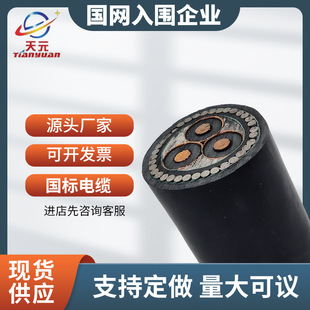 国标3芯507095120150 185 240平方YJV42电缆线 高压钢丝铠装10kv-阿里巴巴