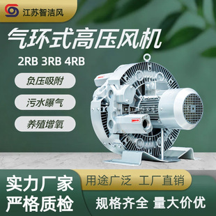 RB-31DH-2气环式真空泵 0.81KW工业污水曝气漩涡风机高压旋涡风机-阿里巴巴