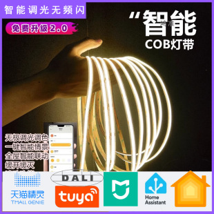 COB灯带APP智能自粘无极调光调色24v线性线型线条灯硅胶灯带-阿里巴巴
