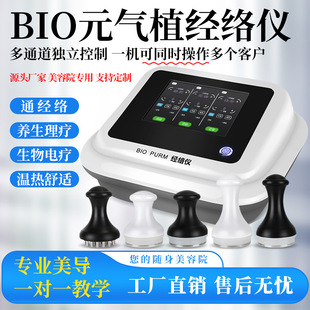 bio元气植经络养生仪中国长春身体理疗疏通脉冲仪器美容院养生馆-阿里巴巴