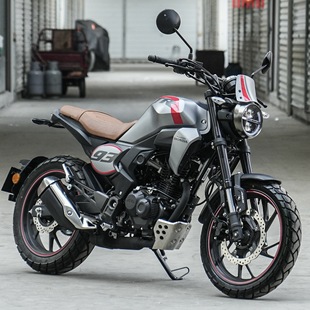 新大洲CBF190TR街车CB190SS鹫道复古机车雅马哈飞致150代步摩托车-阿里巴巴