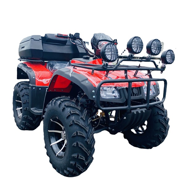 250Ccatv Gasoline Four-Wheel Off-Road Motorcycle Atv Fuel Shockproof ...