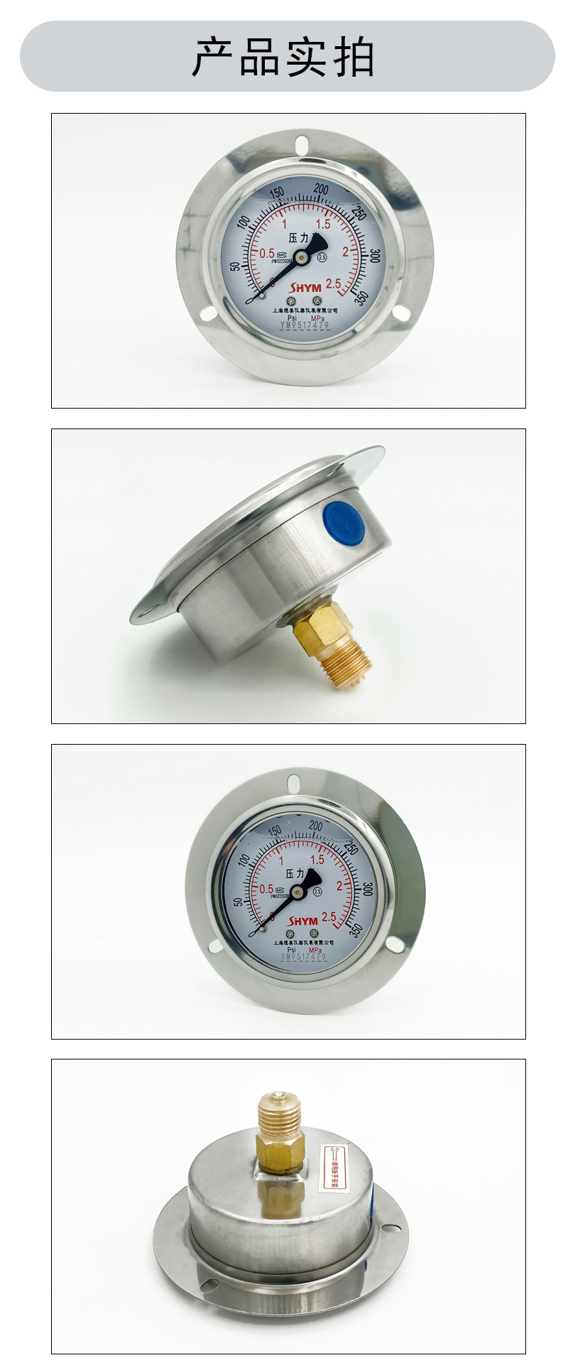 YN60ZT 充油抗震法兰边面板背接式M14*1.5 2分轴向带边耐震压力表-阿里巴巴