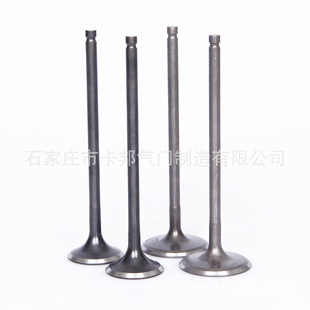 51041010334 51041010367 51041010447 进排气门 工厂直销-阿里巴巴