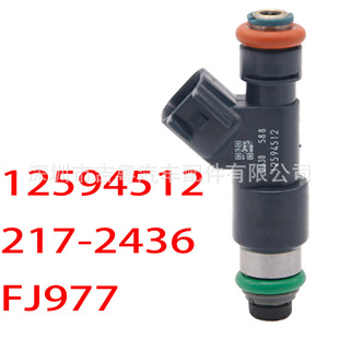 12594512 217-2436 适用于雪佛兰GM喷油嘴 2172436 FJ977 67578-阿里巴巴