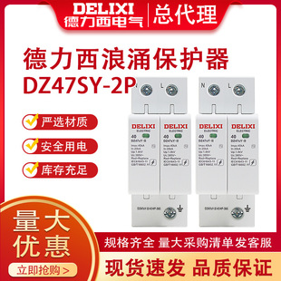 德力西65KA家用避雷器20KA浪涌保护器DZ47Y-40/2P-385防雷器-阿里巴巴