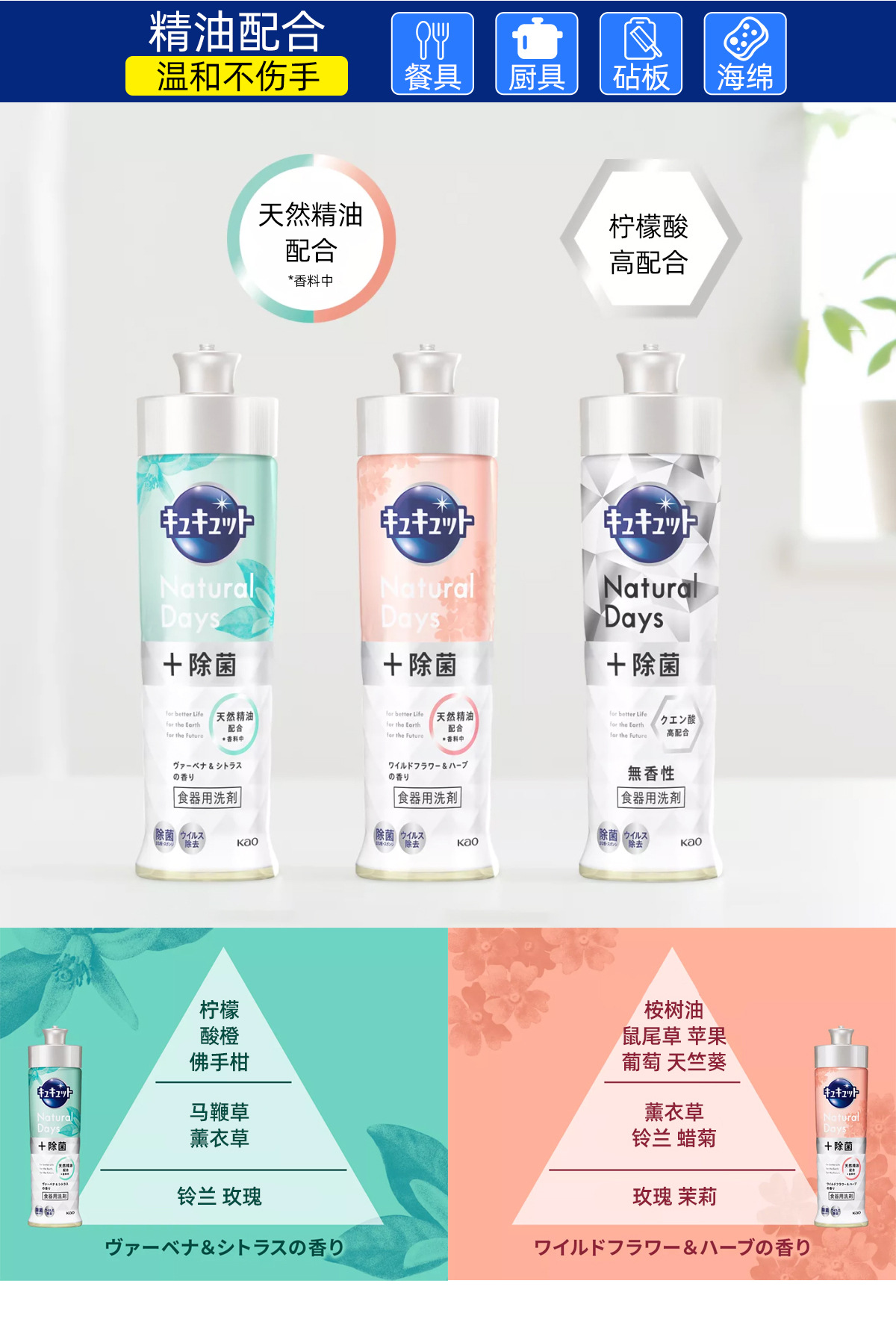 日本进口花王厨房植物果蔬净餐具洗洁精家用批发220ml-阿里巴巴