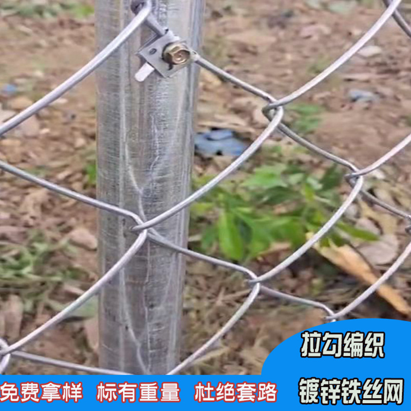 Galvanized Wire Mesh Rhombus Chain Link Fence Outdoor Breeding Sheep ...