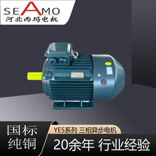 河北西玛电机定制生产YE5-2/4/6/8极2.2-400kw超高效三相异步电机-阿里巴巴