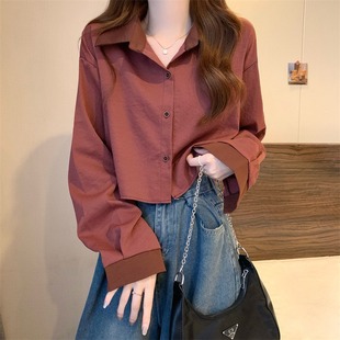 韩系复古拼色砖红色Polo领衬衫秋装女新款设计感宽松短款长袖上衣-阿里巴巴