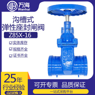 Z85X-16沟槽闸阀排水管道系统沟槽闸阀 消防暗杆沟槽弹性座封闸阀-阿里巴巴