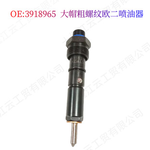 适用6D102挖机康明斯4BTA3.9 6BTA5.9大帽粗螺纹喷油器3918965-阿里巴巴