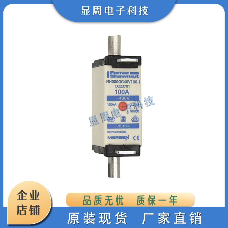 全新保险丝熔断器NH000GG50V40 50 63 N212463 T212974 E213996-阿里巴巴