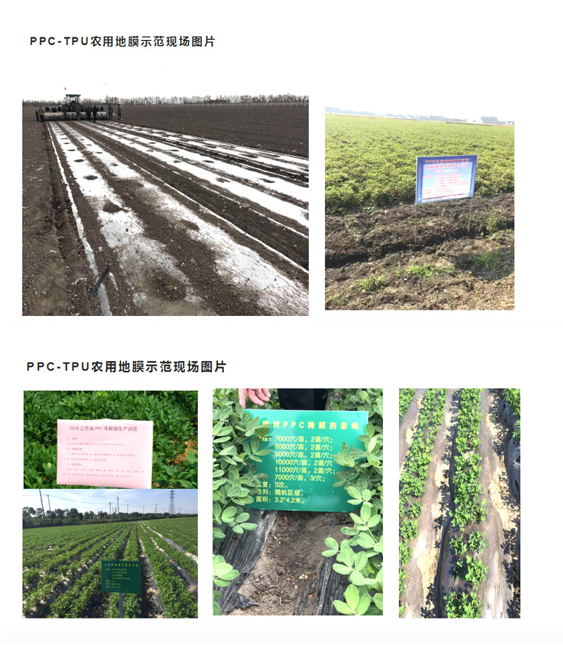 PPC-二元醇 水性涂料工业聚碳酸酯二元醇ppc-tpu聚碳酸亚丙酯二醇-阿里巴巴