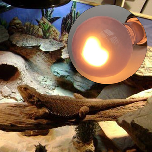 A67日光蓝釹泡220V 100W 150W E27螺口爬虫爬宠日间加热保温灯-阿里巴巴