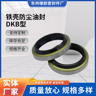 厂家直销 DKB型 优质密封圈耐油丁晴橡胶铁壳防尘油封 规格齐全-阿里巴巴