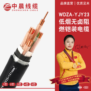 WDZA-YJY23低烟无卤阻燃A类交联聚乙烯电线电缆国标铜芯足米-阿里巴巴