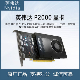 英伟达（NVIDIA） Quadro P2000 5GB 3D建模渲染绘图专业图形显卡-阿里巴巴