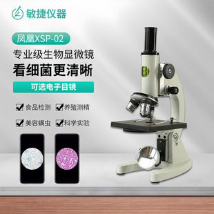 凤凰XSP-02光学显微镜小高初中生用生物教学实验科普仪器厂家批发-阿里巴巴