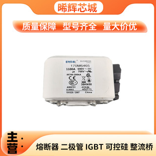 170M6465 170M6466低压快速熔断器 全新原装 量大从优-阿里巴巴