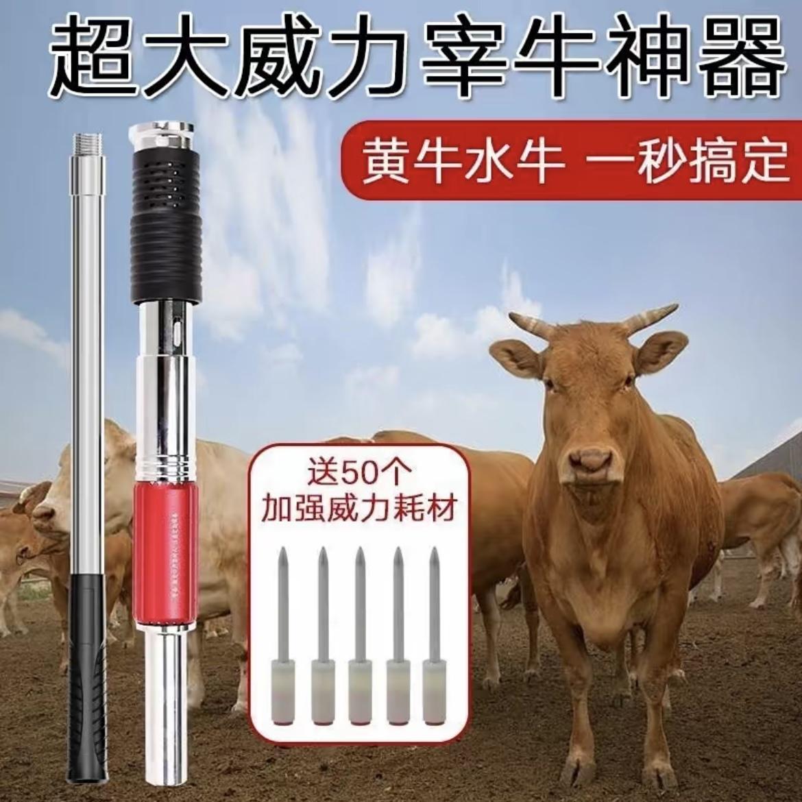 Slaughtering Cattle Artifact Slaughtering Cattle Nail Gun Slaughtering ...