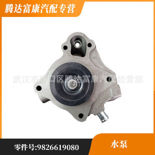 适用于标致 雪铁龙 DS 水泵 9826619080-阿里巴巴