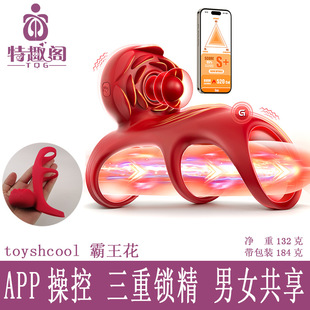 toyshcool霸王花APP三环锁精夫妻共震器自慰按摩降敏阴蒂刺激情趣-阿里巴巴