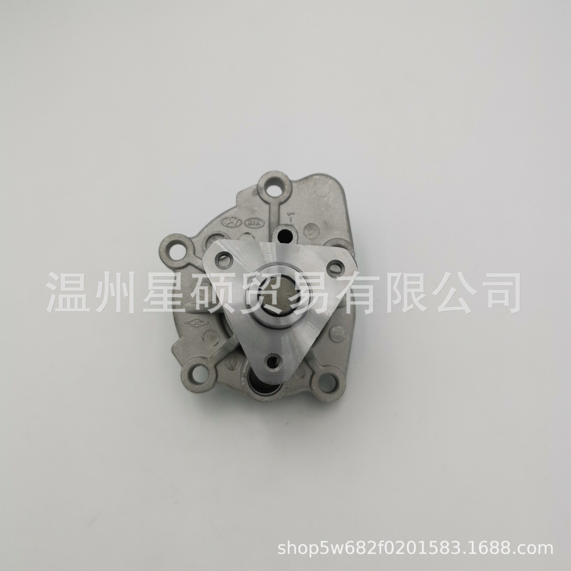 25100-25002适用于现代起亚06-10 Sonata Optima Rondo 2.4L 水泵-阿里巴巴