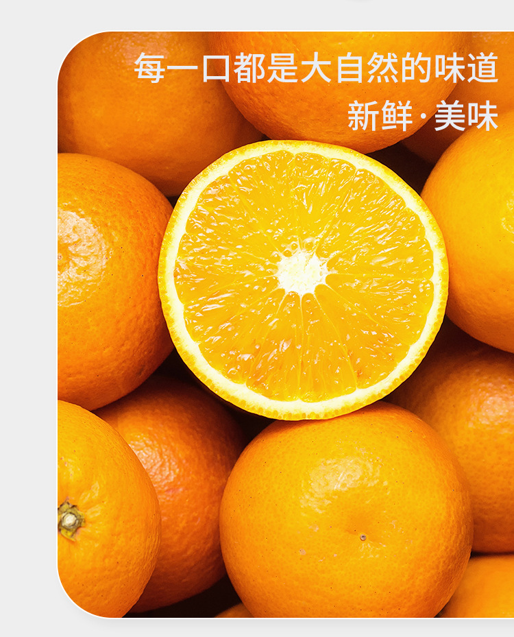 LOTTE乐天果粒果汁饮料238ml*72罐装韩国原装进口葡萄汁饮料批发-阿里巴巴