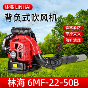 风力灭火机LINHAI林海吹风机6MF-22-50B大棚吹雪机背负除渣吹灰机-阿里巴巴