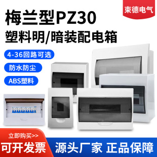 梅兰型家用明暗装C45空开盒DZ47配电盒pz30防水新能源充电桩电箱-阿里巴巴
