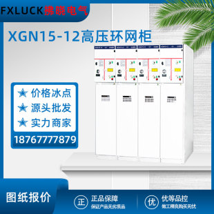 XGN15-12高压环网柜XGN17开关柜配电柜SF6进出线馈线柜计量柜PT柜-阿里巴巴
