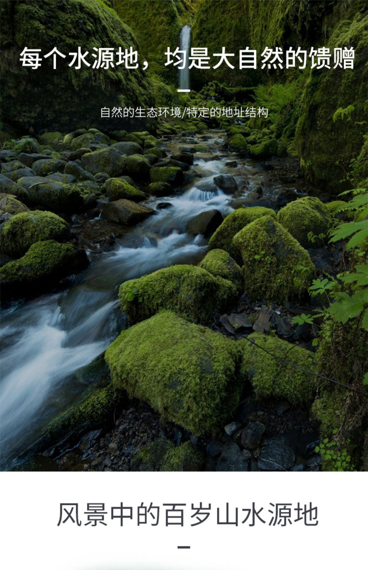 百岁山天然矿泉水570ml24瓶整箱装大瓶饮用水348ml小瓶景田纯净水-阿里巴巴