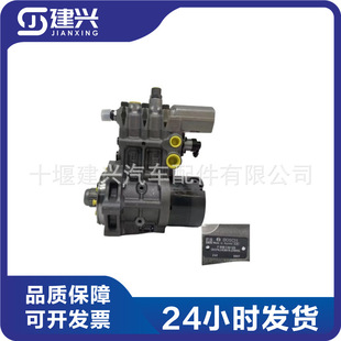 康明斯QSK19发动机F00BC00120 F00BC0051 4306517 4924585 燃油泵-阿里巴巴