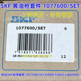 1077600/SET SKF黄油枪套件1077600A 润滑脂泵LAGF18 喷嘴组LAGS8-阿里巴巴