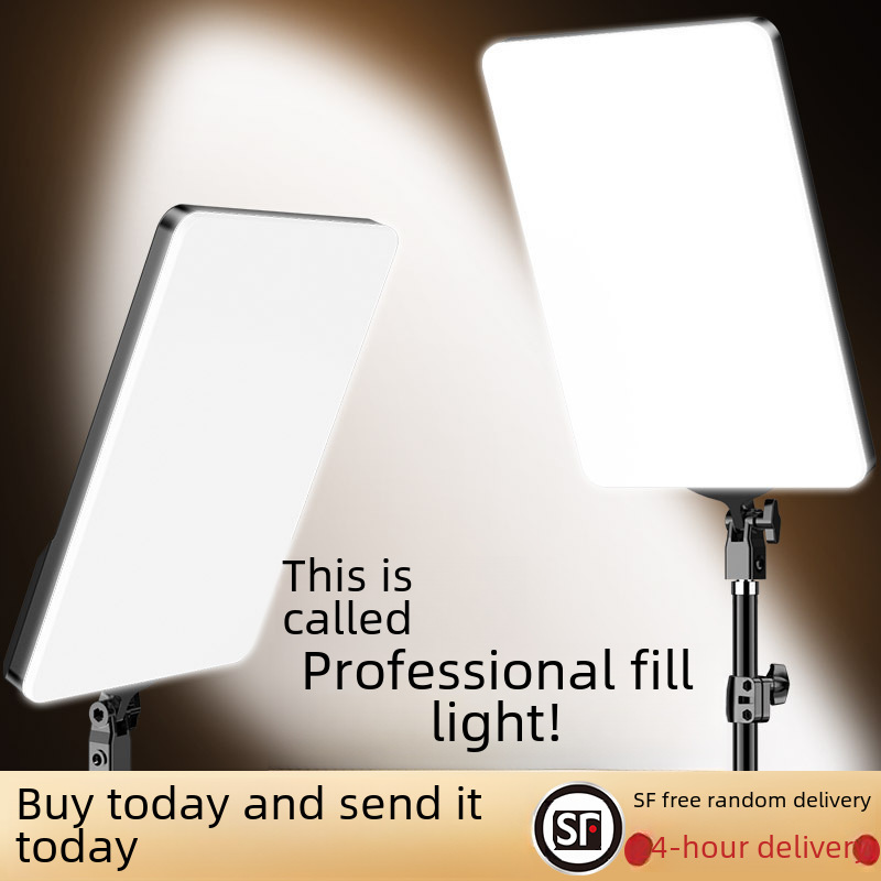 Live light Supplement Photo Studio dedicated soft light professional ...