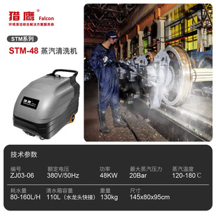 猎鹰STM-48蒸汽清洗机工厂用蒸汽清洗机220V精密物件维修钢轨清洗-阿里巴巴