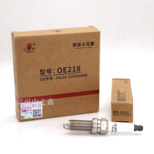 正品F4J20-3707010AB火炬TORCH原装系列OE218 适用捷途2.0T 瑞虎8-阿里巴巴