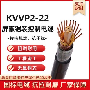 国标铜芯KVVP2-22铠装屏蔽电缆 KVVP22阻燃铠装屏蔽通讯控制电缆-阿里巴巴
